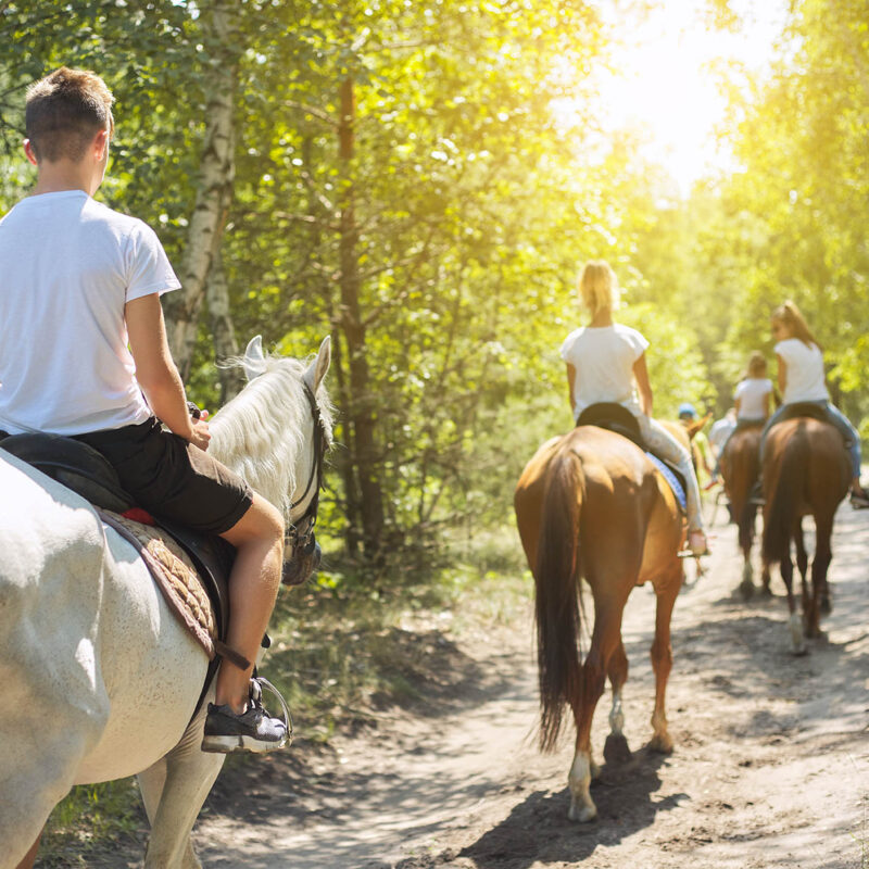 Rolling Hills Ranch – Horseback Riding – Pittsburgh, PA
