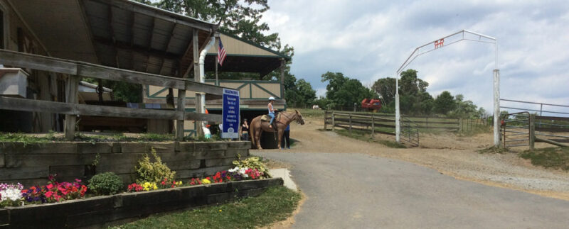 Boarding – Rolling Hills Ranch