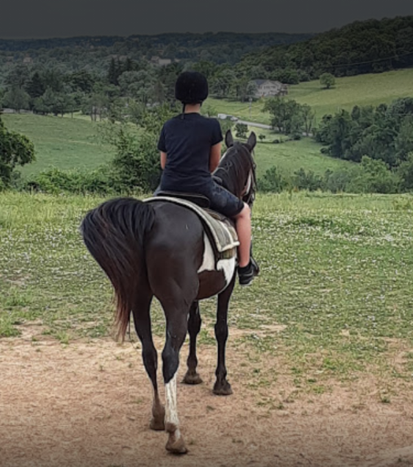 Horseback Riding – Rolling Hills Ranch