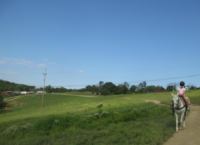 Horseback Riding – Rolling Hills Ranch