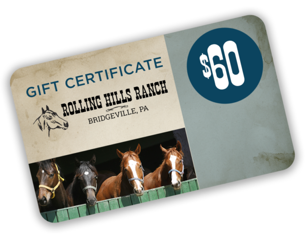 Horseback Riding – Rolling Hills Ranch